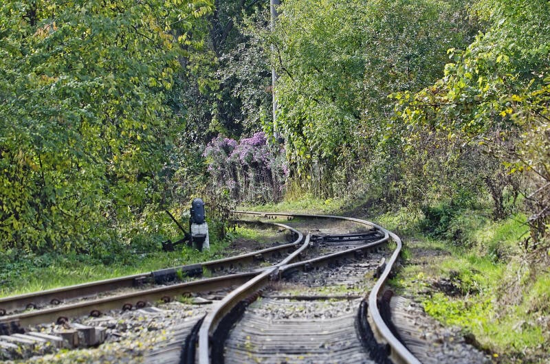 Train Turn in the Tunnel of Plants Stock Photo - Image of road, rails ...