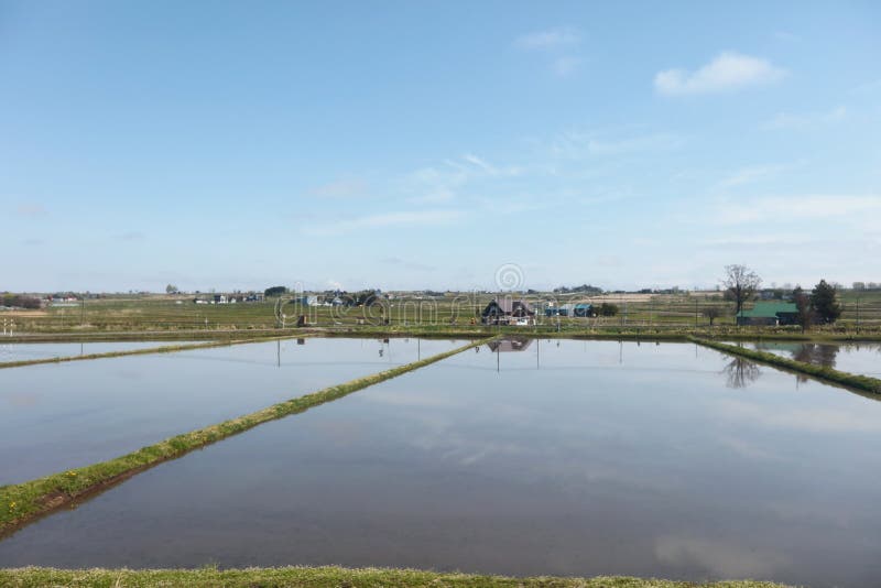 Train View of Furano Line Hokkaido at Japan Stock Photo - Image of ...