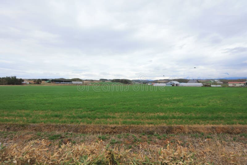 Train View at Japan Asahikawa To Furano Line Stock Photo - Image of ...