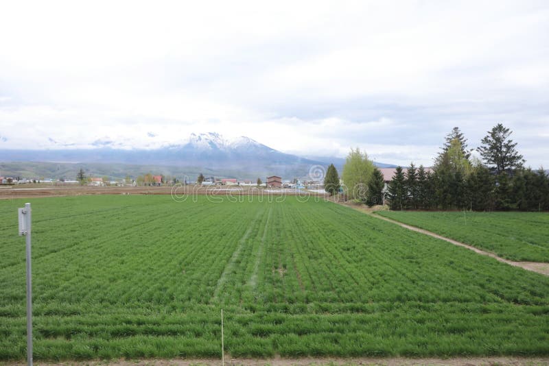 Train View at Japan Asahikawa To Furano Line Stock Image - Image of ...