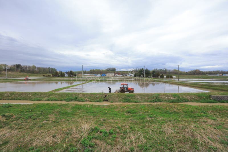 Train View at Japan Asahikawa To Furano Line Stock Image - Image of ...
