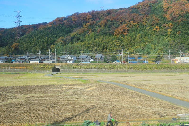 Train View of Landscape or Field at Japan Stock Image - Image of ...