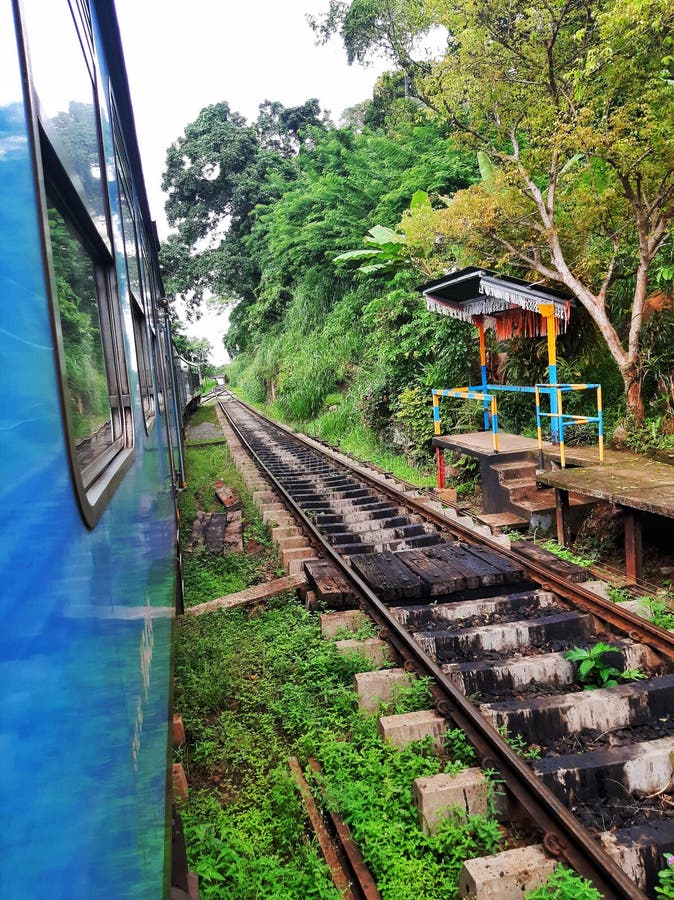 Train View Nature Green Plant Stock Image - Image of view, green: 264582145