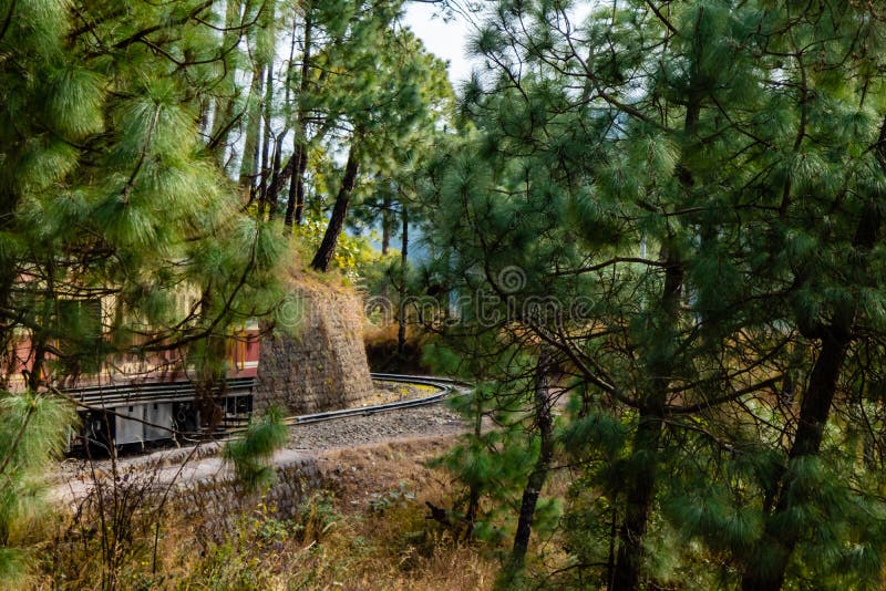 Train Visible Behind the Trees Along Side Mountain, Travel Concept ...