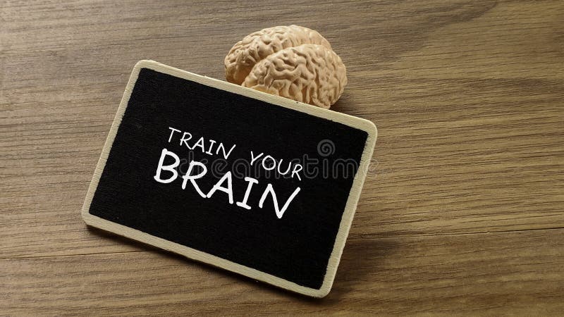 Train Your Brain Concept with Brain Model and Blackboard Stock Image ...