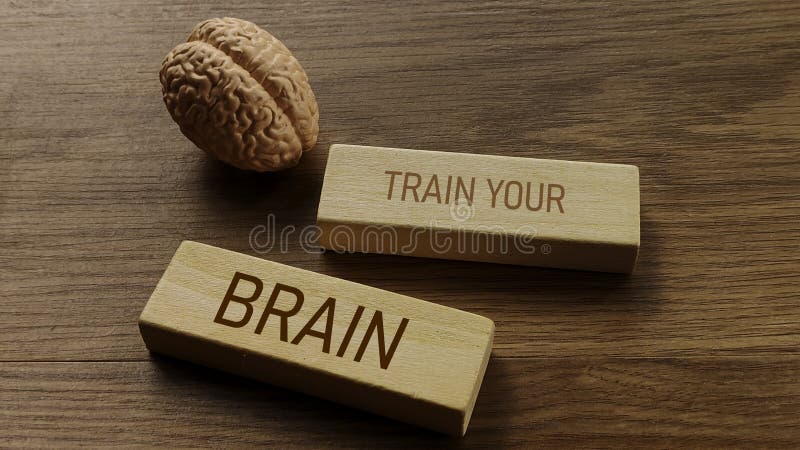 Train Your Brain Concept with Brain Model and Wooden Blocks Stock Photo ...