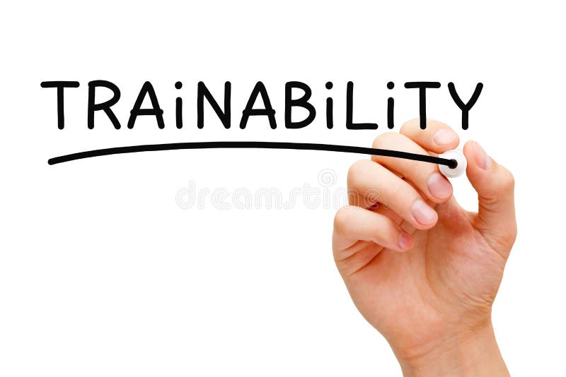 Trainability Black Marker stock photo. Image of concept - 93536458