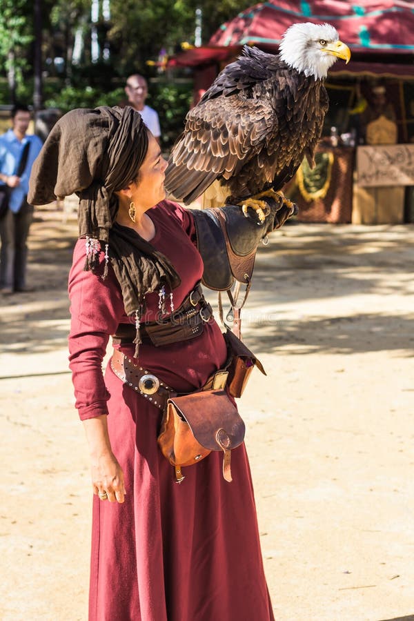 Trained Bald Eagle editorial photo. Image of power, nature - 40840371