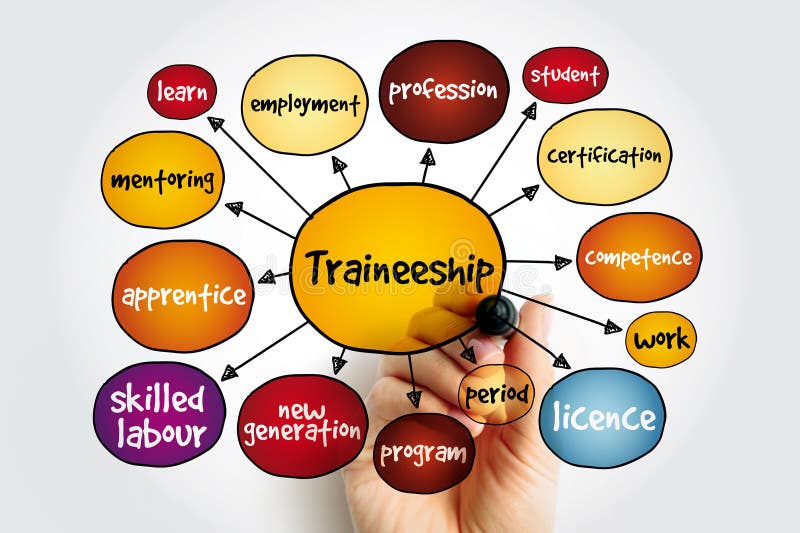 Traineeship Mind Map, Education Concept for Presentations and Reports ...