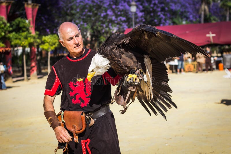 Trainer with bald eagle editorial photography. Image of strong - 40840217