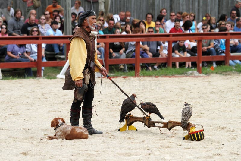 Trainer Demonstrates Hawks Abilitiesenai Editorial Image - Image of ...