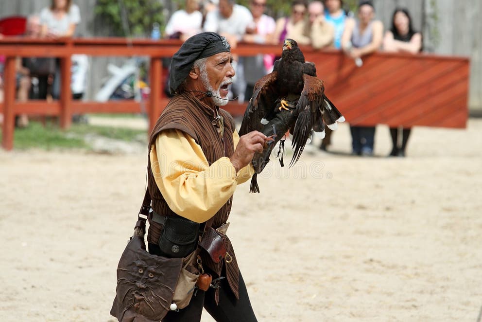 Trainer Demonstrates Hawks Abilitiesenai Editorial Stock Image - Image ...