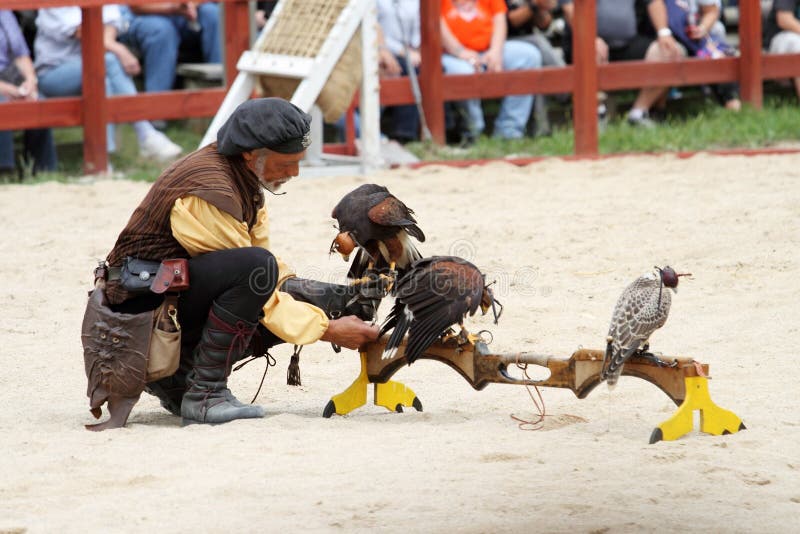 Trainer Demonstrates Hawks Abilitiesenai Editorial Stock Image - Image ...