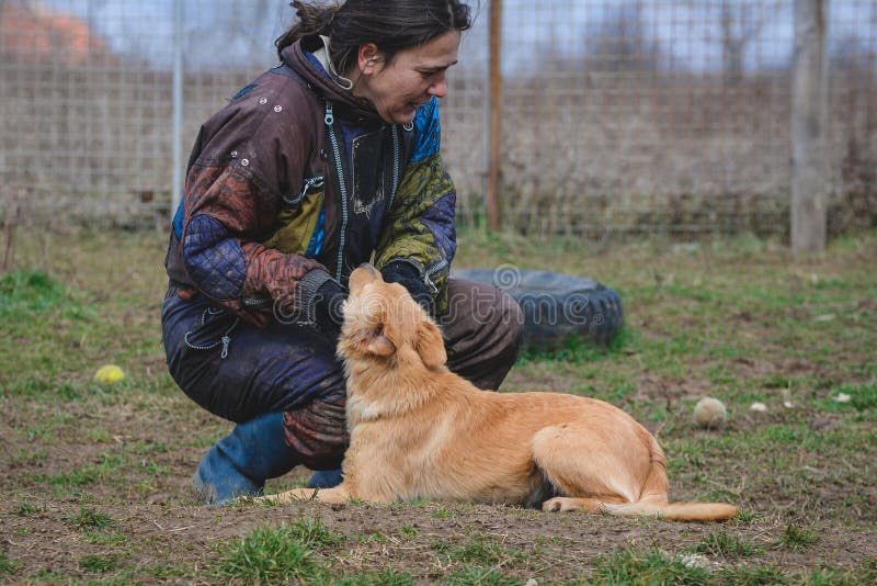 Trainer and Her Dog in the Process of Socialization Stock Photo - Image ...