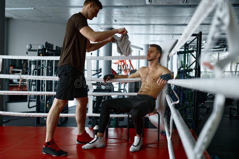 215 Boxer Corner Sitting Stock Photos - Free & Royalty-Free Stock ...