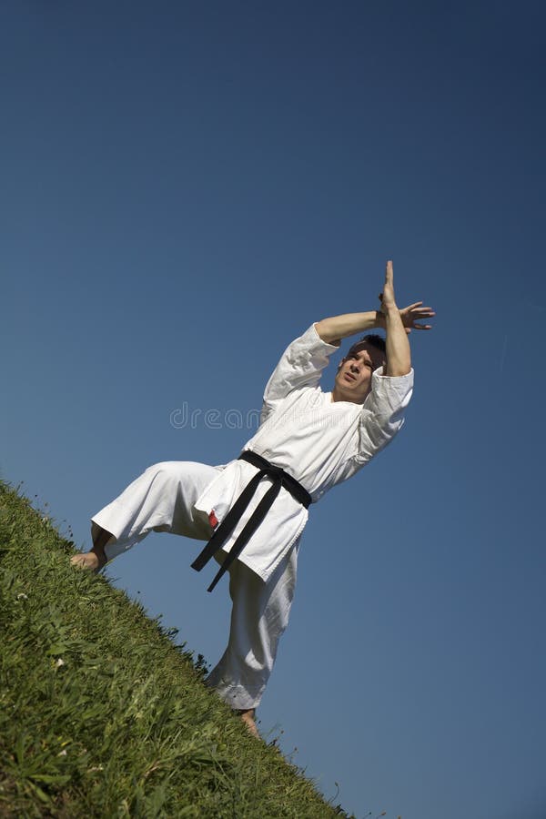 Training Des Karatemeisters - Kata Stockbild - Bild von konflikt, japan ...
