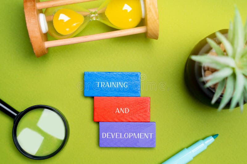 Training and Development Concept. Improving Employees Skills Stock ...