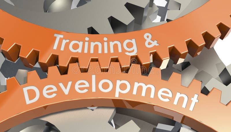 Training and Development Word on Gears Stock Illustration ...