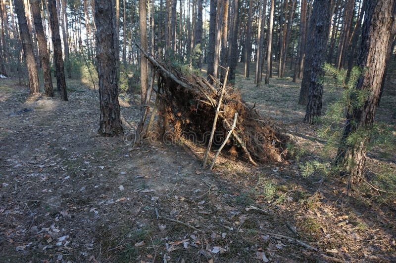 A Training Dugout for Military Training in the Forest. Stock Photo ...