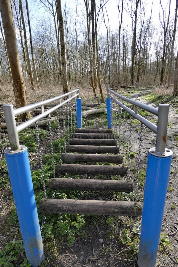 Training in the forest. stock photo. Image of walking - 212926028