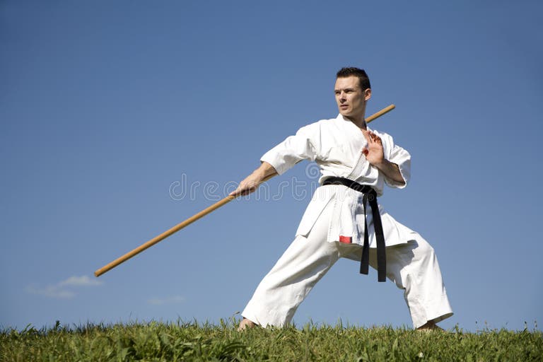 Training of Karate Champion - Kata Stock Image - Image of sport ...