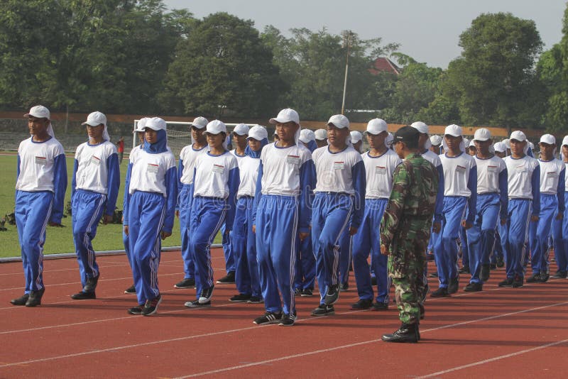 Training lines editorial photography. Image of high, stadium - 75528852