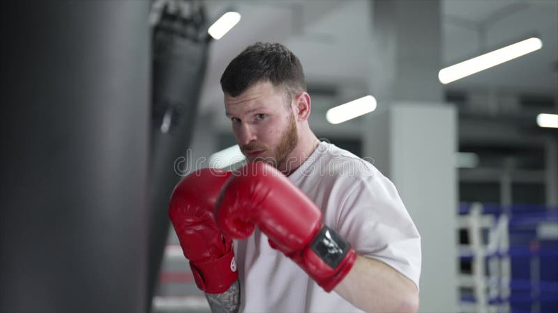 Training of a Male Boxer in the Gym Stock Footage - Video of bandages ...