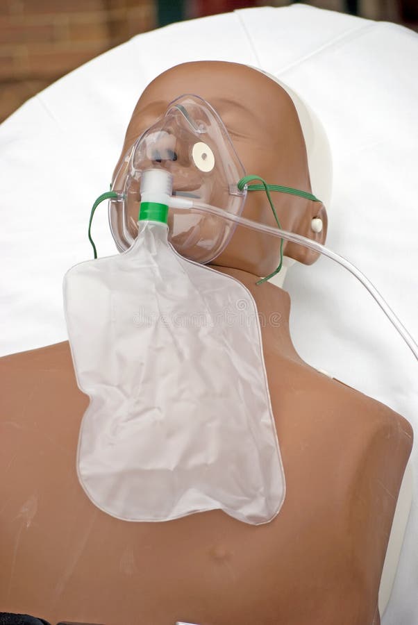 Training Mannequin stock photo. Image of breath, display - 5260140