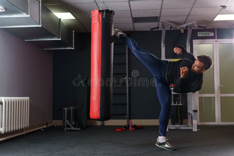 Training Time. Image of Muscular Man Boxing at Gym Stock Image - Image ...