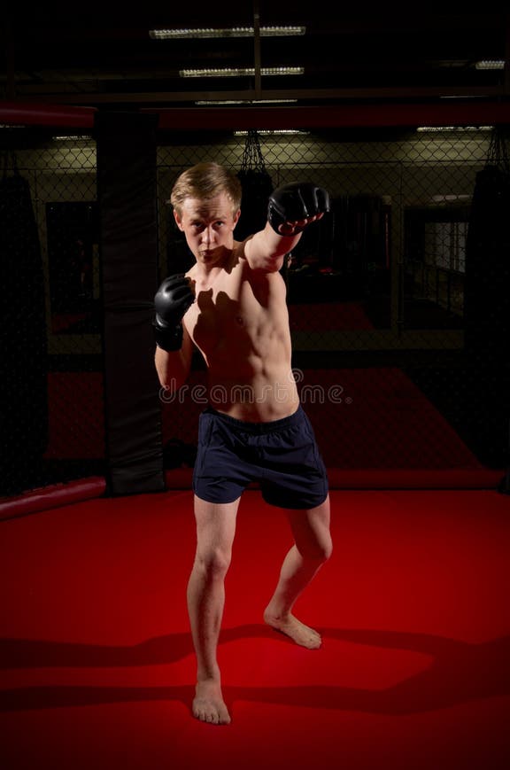 Training of Young Kickboxer Stock Photo - Image of build, isolated ...