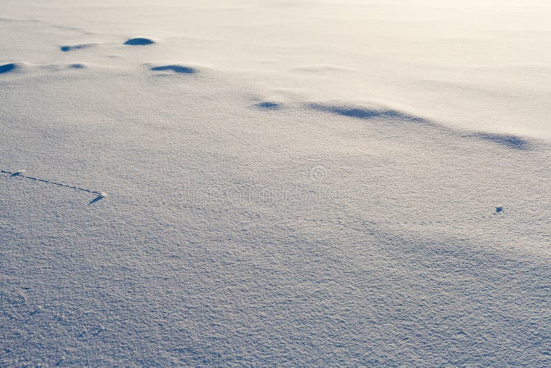 Trajectory Lines on Snow Surface Stock Photo - Image of blue, nature ...