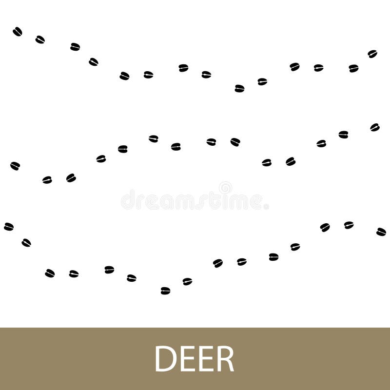 Traks of a Deer Animal stock vector. Illustration of forest - 115201384