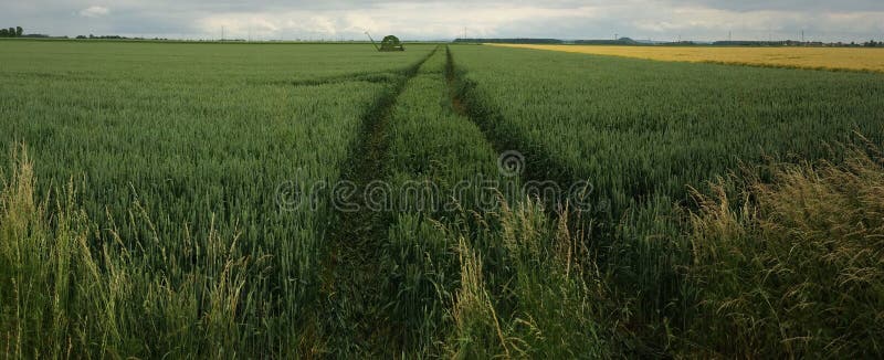 Traktor Ruts in the Field (Panorama) Stock Photo - Image of farm ...