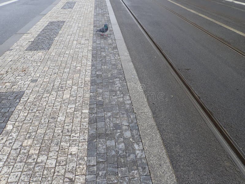 Tram Line Railway on a Street Stock Image - Image of steel, outdoors ...