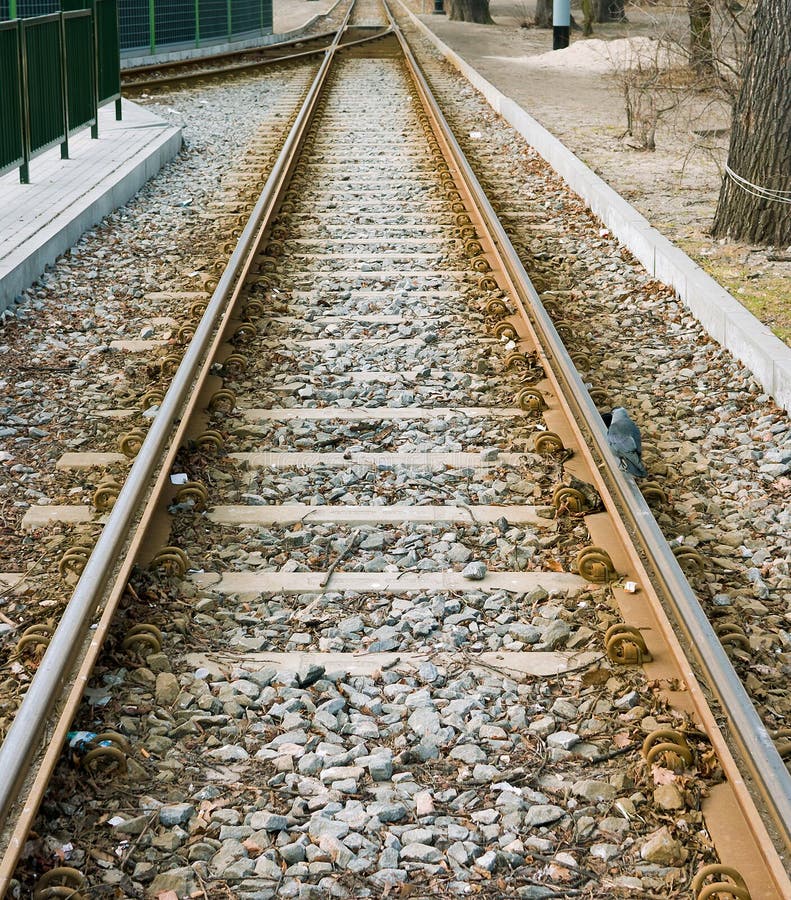Tram lines. stock image. Image of metallic, construction - 23989549