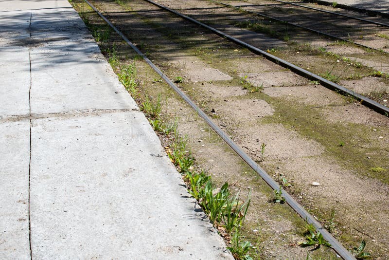 Tram Rail among Green Grass Close Up Stock Image - Image of metal ...
