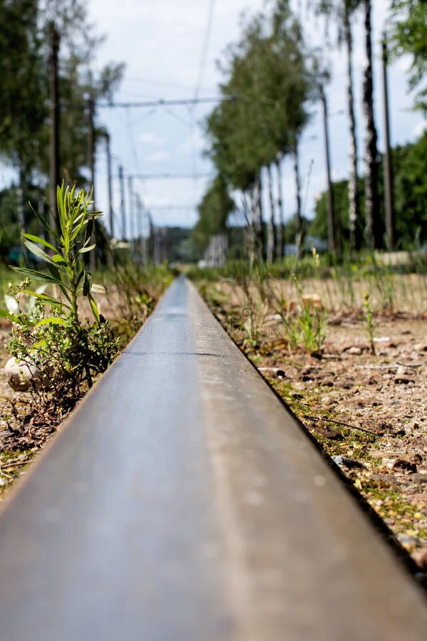 Tram Rail among Green Grass Close Up Stock Photo - Image of transport ...
