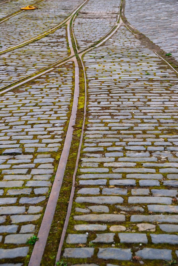 Tram rails stock image. Image of public, iron, asphalt - 21778859