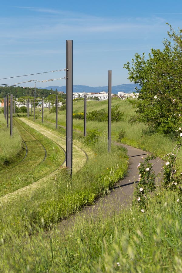 Tram Rails on Green Grass and Cycle Path that Runs Along. Stock Photo ...