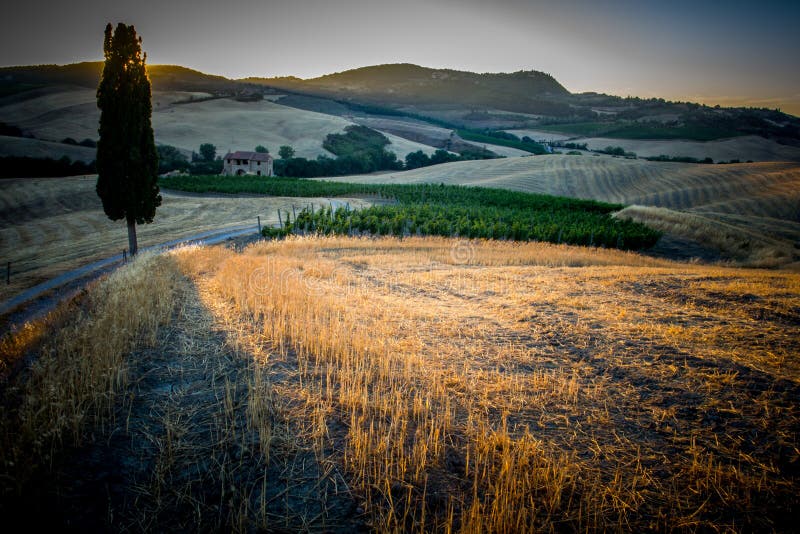 Tramonto Sulle Colline Toscane Immagine Stock - Immagine di albero ...