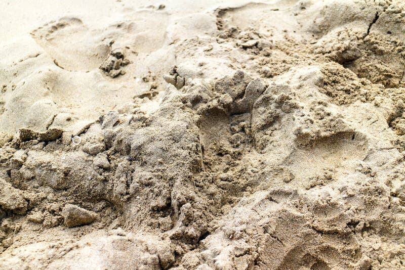 Trampled Damp Sand on a Tropical Beach Stock Image - Image of golden ...