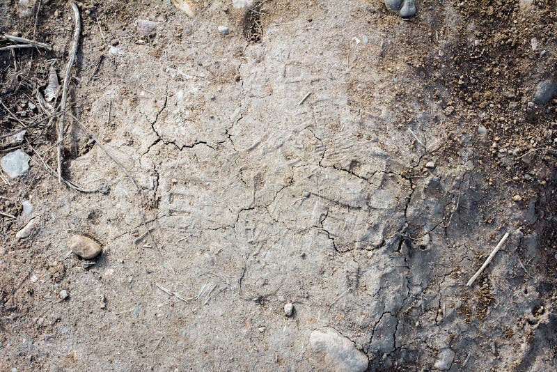 Texture of Dry Cracked Ground with Boot Prints Stock Photo - Image of ...