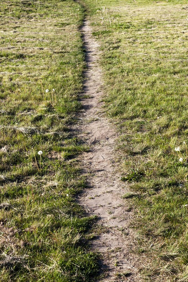 Path on the lawn stock photo. Image of clipping, grass - 101448546