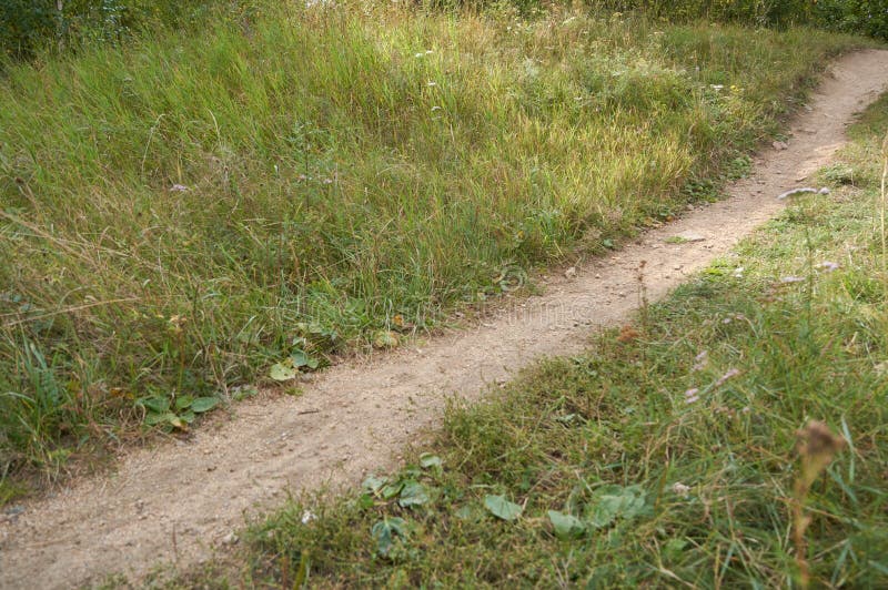 A Trampled Path in a Meadow, through Blossoming Field Steppe Grass ...