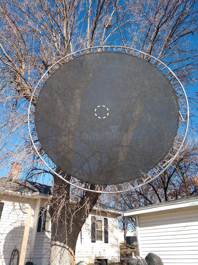 Trampoline in the tree stock image. Image of dome, light - 237213579