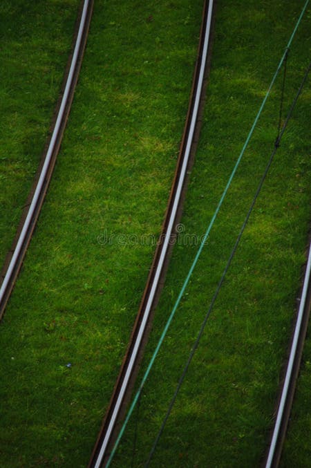 Tramway Rails among Grass Top View. Poznan, Poland Stock Photo - Image ...
