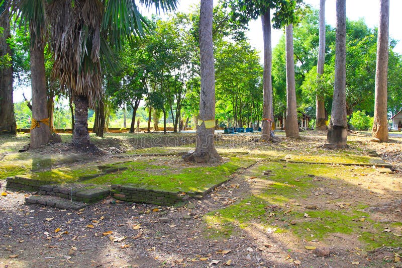 Tranquil Ancient Temple Courtyard: Discover Peace and History Amidst ...
