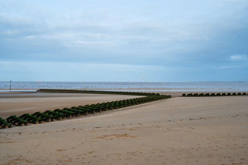 Tranquil Beach with Long, Sea Moss-covered Breakwater Structures. Stock ...