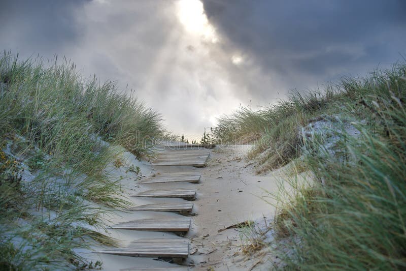 Tranquil Beach Pathway through Sandy Dunes with Dramatic Sky and Sun ...