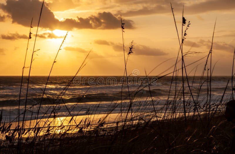 Tranquil Beach Sunset or Sunrise Stock Image - Image of dusk, grass ...